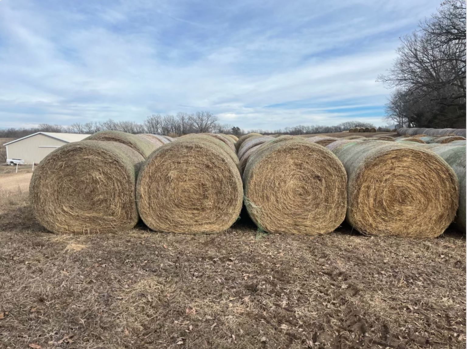 Hay For Sale in Missouri - AllHay.com
