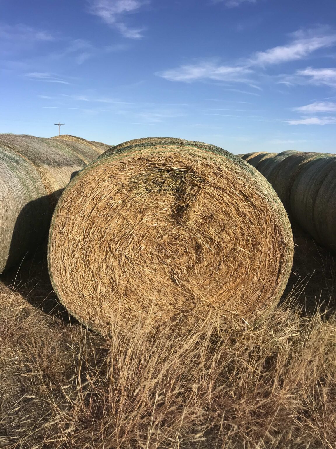 Hay For Sale in Kansas - AllHay.com