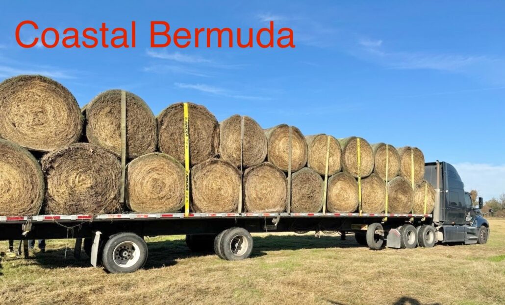 Hay For Sale in Texas - AllHay.com