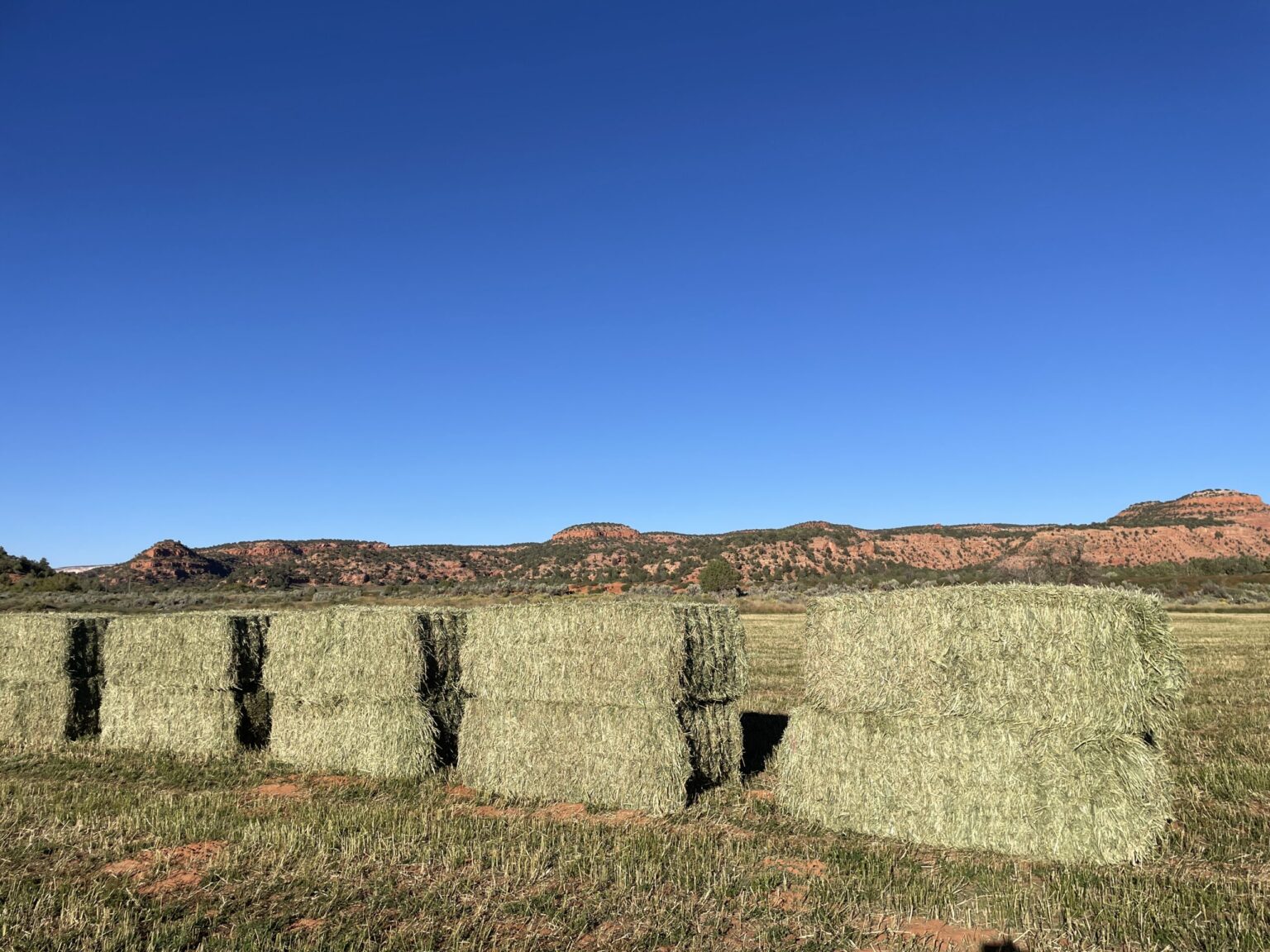 Hay For Sale in Utah - AllHay.com