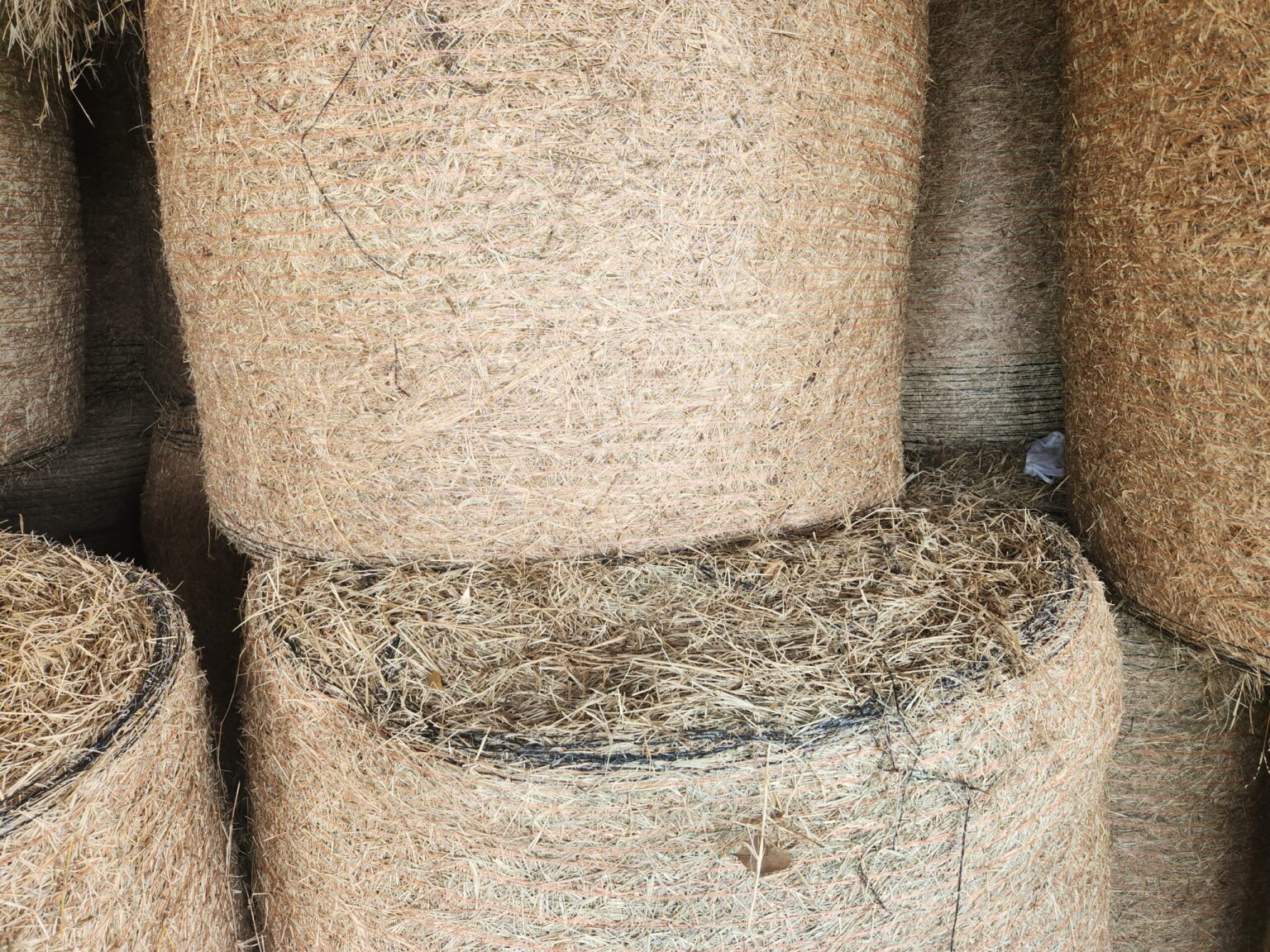Bermuda Grass Hay For Sale | Allhay.Com