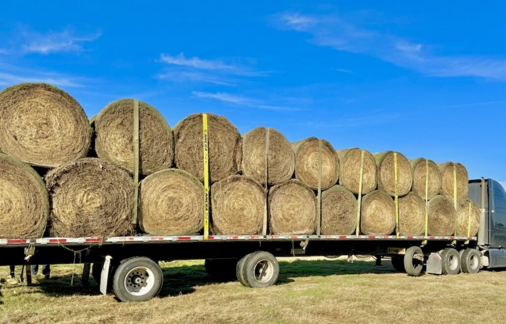 Hay Listings - AllHay.com