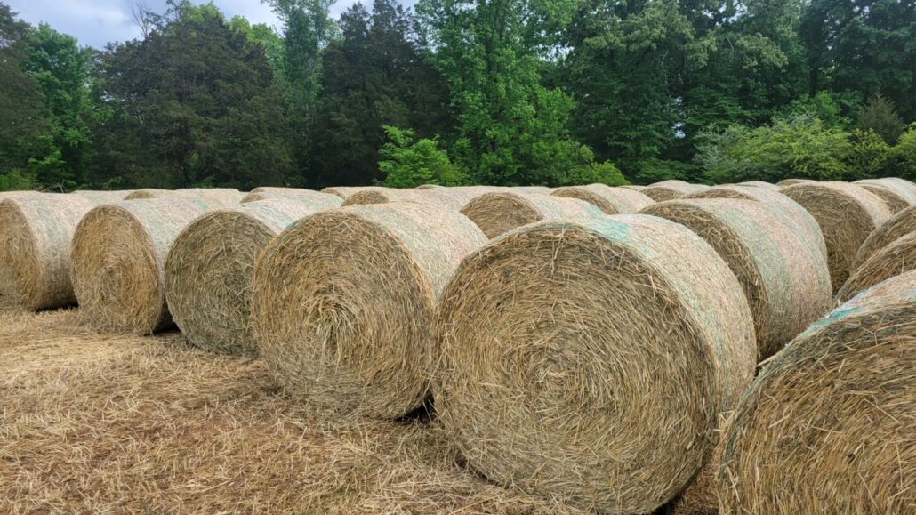 Hay Listings - AllHay.com