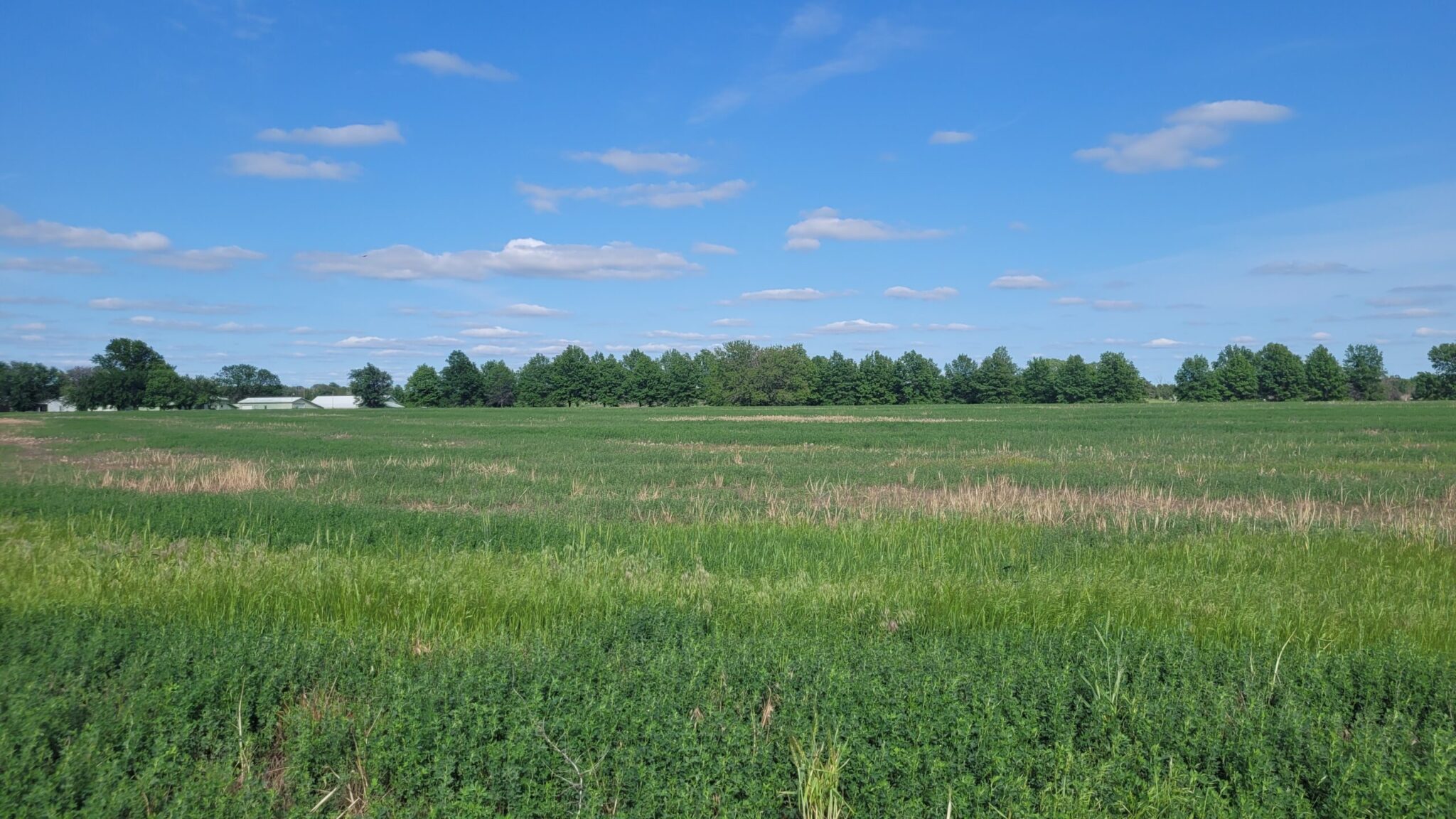 Hay Listings - AllHay.com