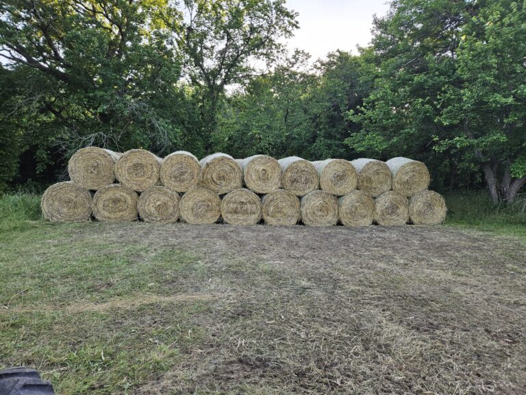 Hay Listings - AllHay.com