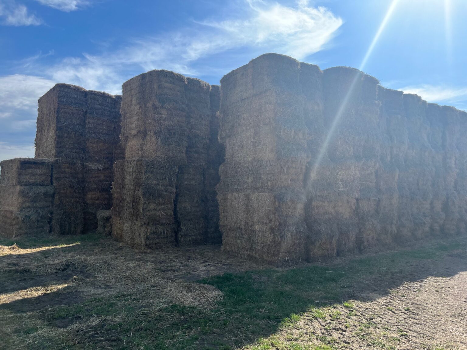 Hay Listings - AllHay.com