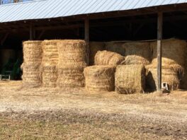 Hay Listings - AllHay.com