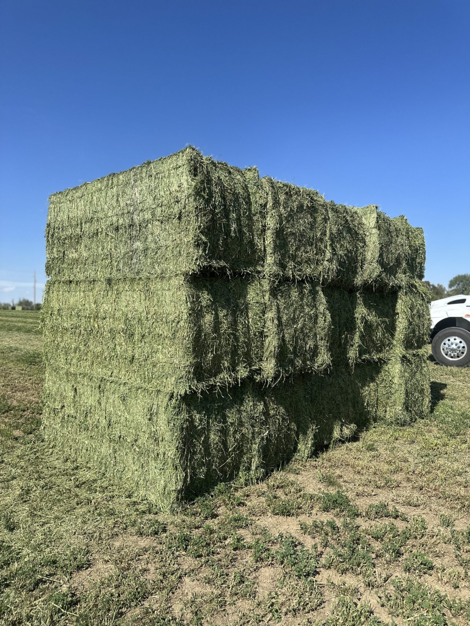 Hay Listings - AllHay.com