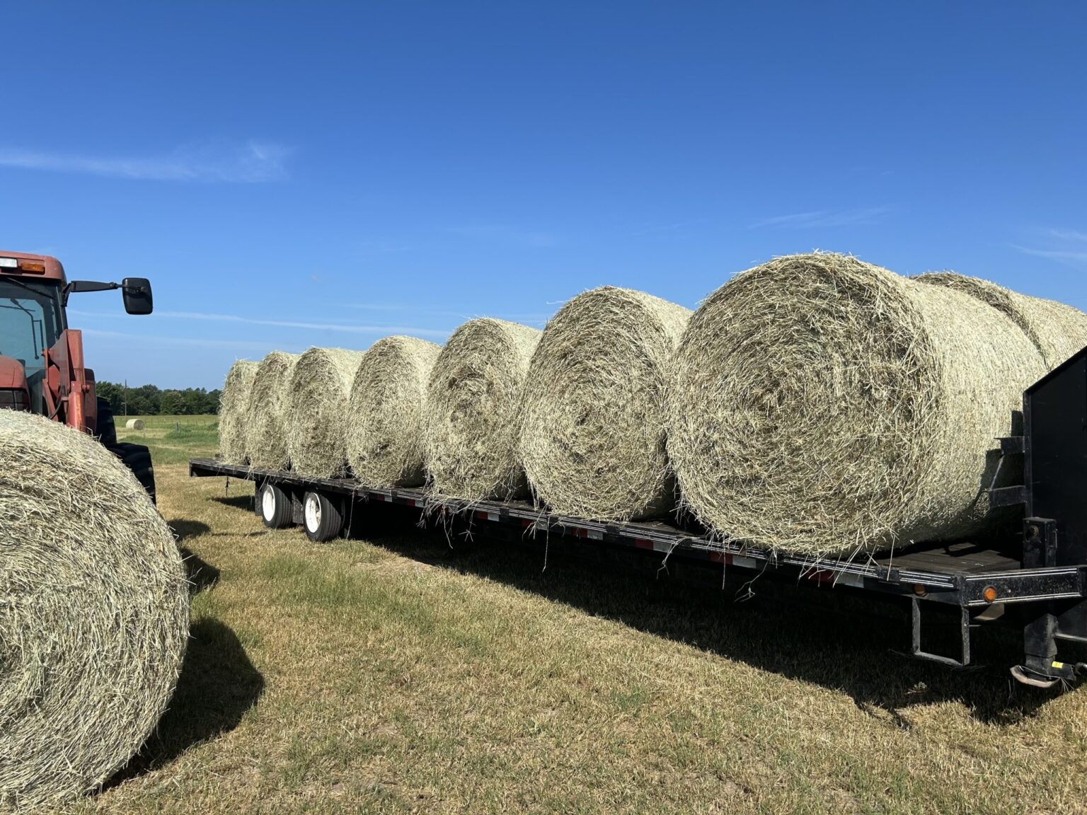 Hay For Sale in Texas - AllHay.com