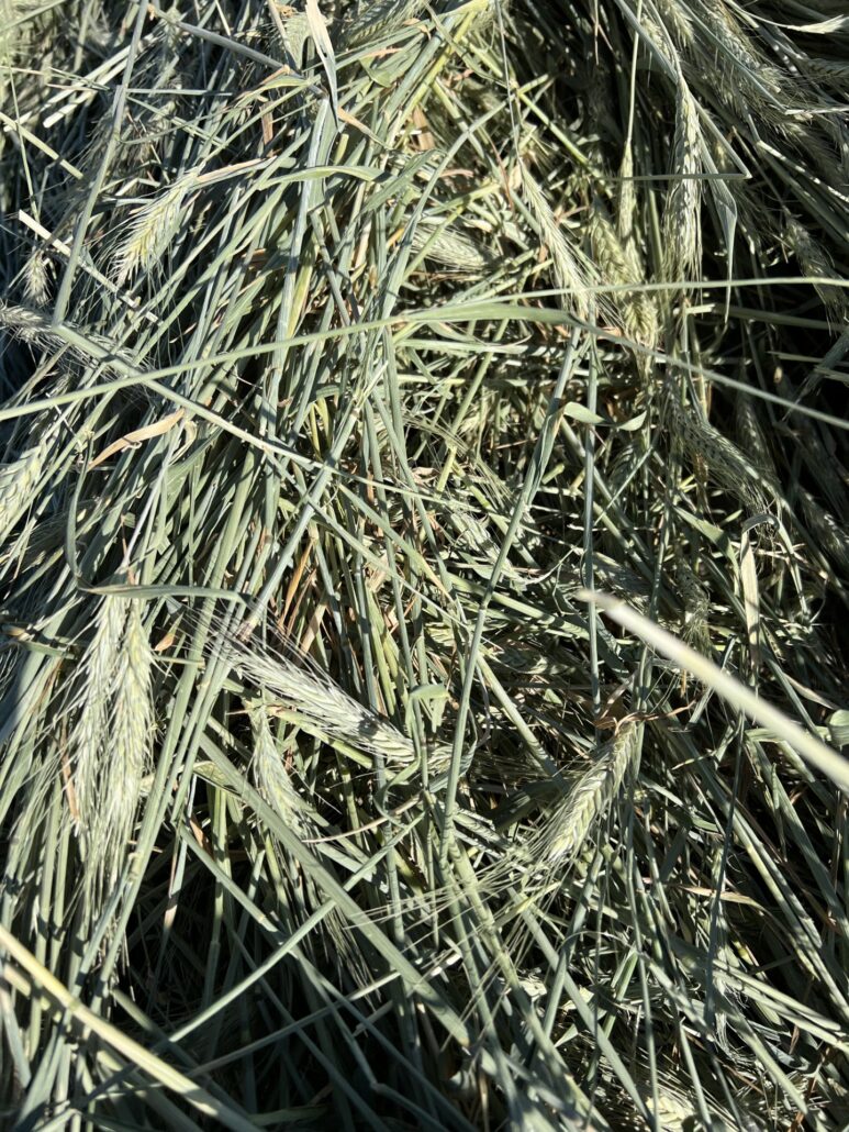 Hay For Sale in Kansas - AllHay.com