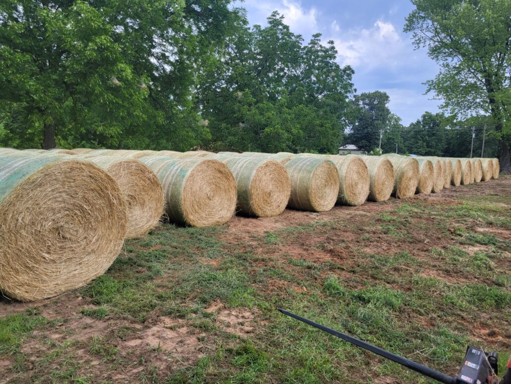 Hay For Sale in Missouri - AllHay.com
