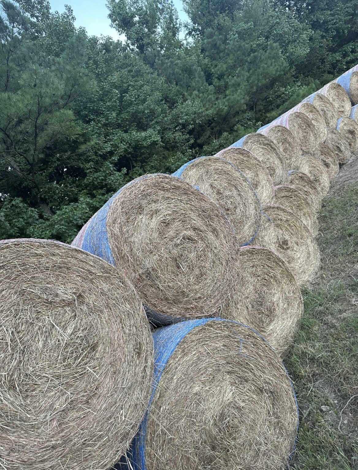 Hay Listings - AllHay.com