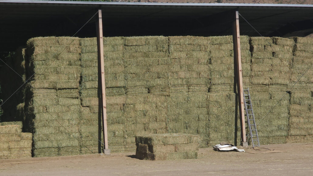 Hay Listings - AllHay.com