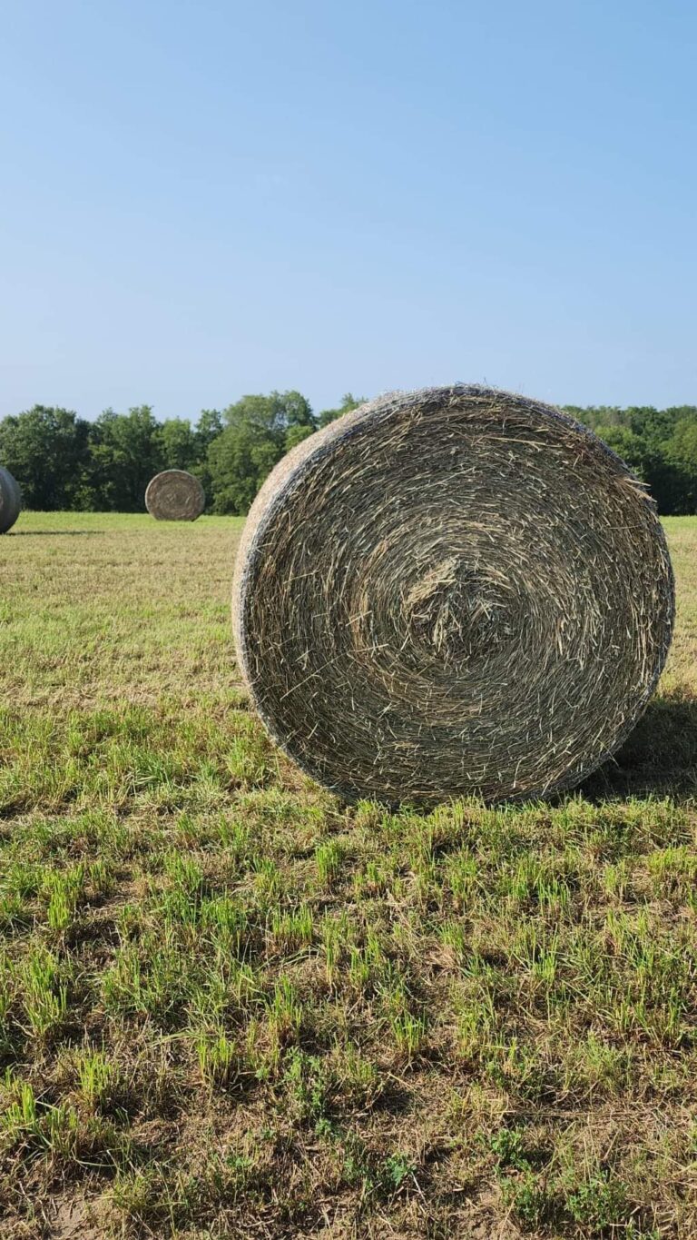 Hay For Sale in Missouri - AllHay.com