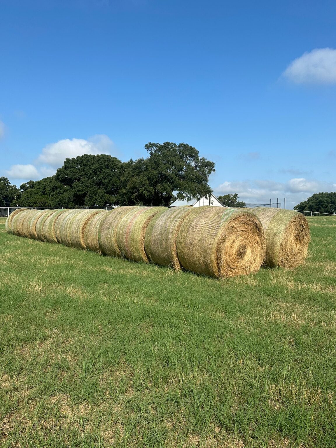 Hay For Sale in Texas - AllHay.com
