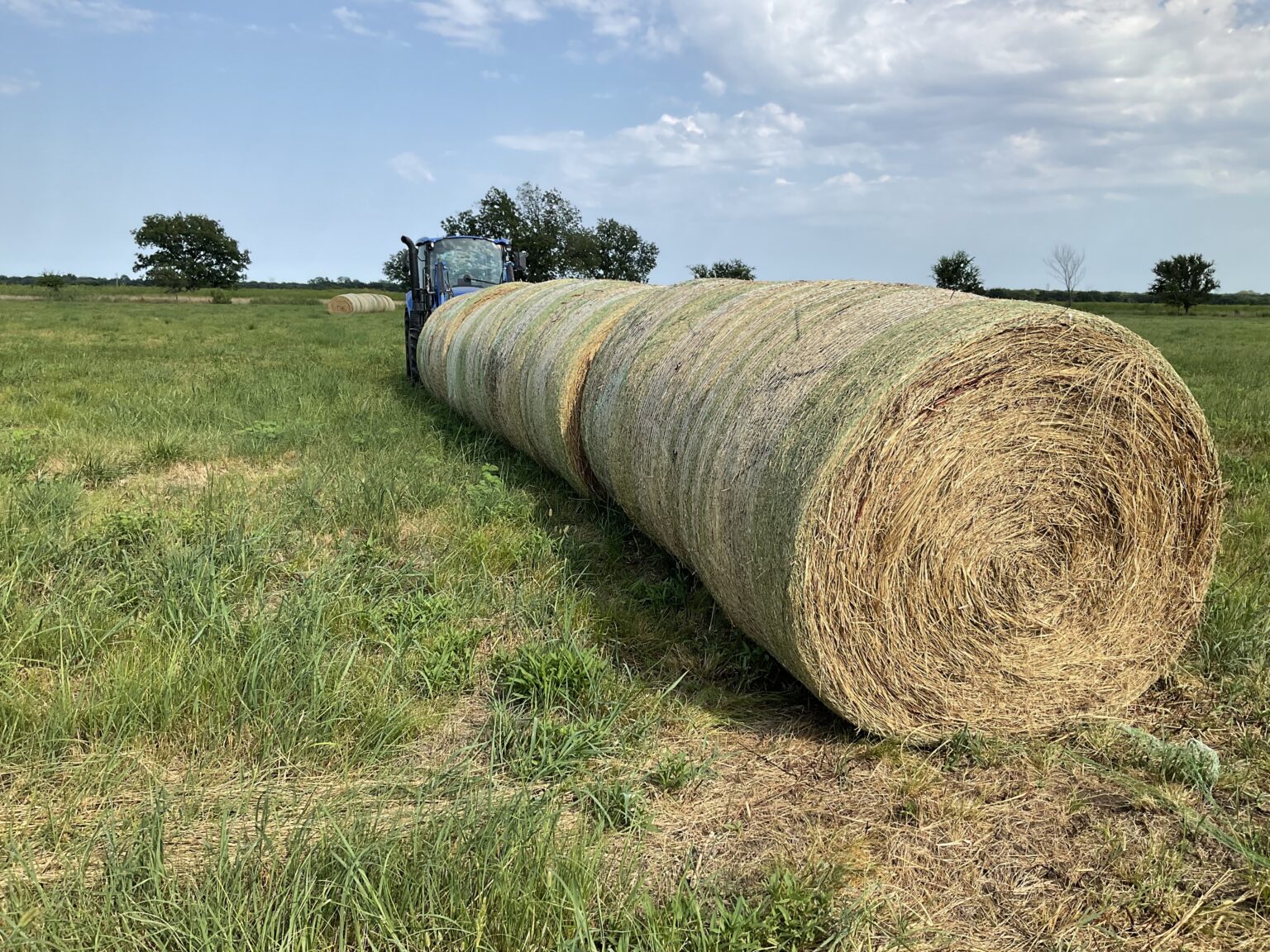 Hay For Sale in Oklahoma - AllHay.com