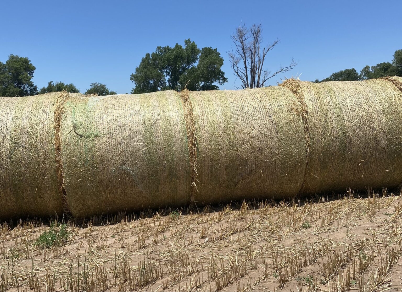 Hay Listings - AllHay.com