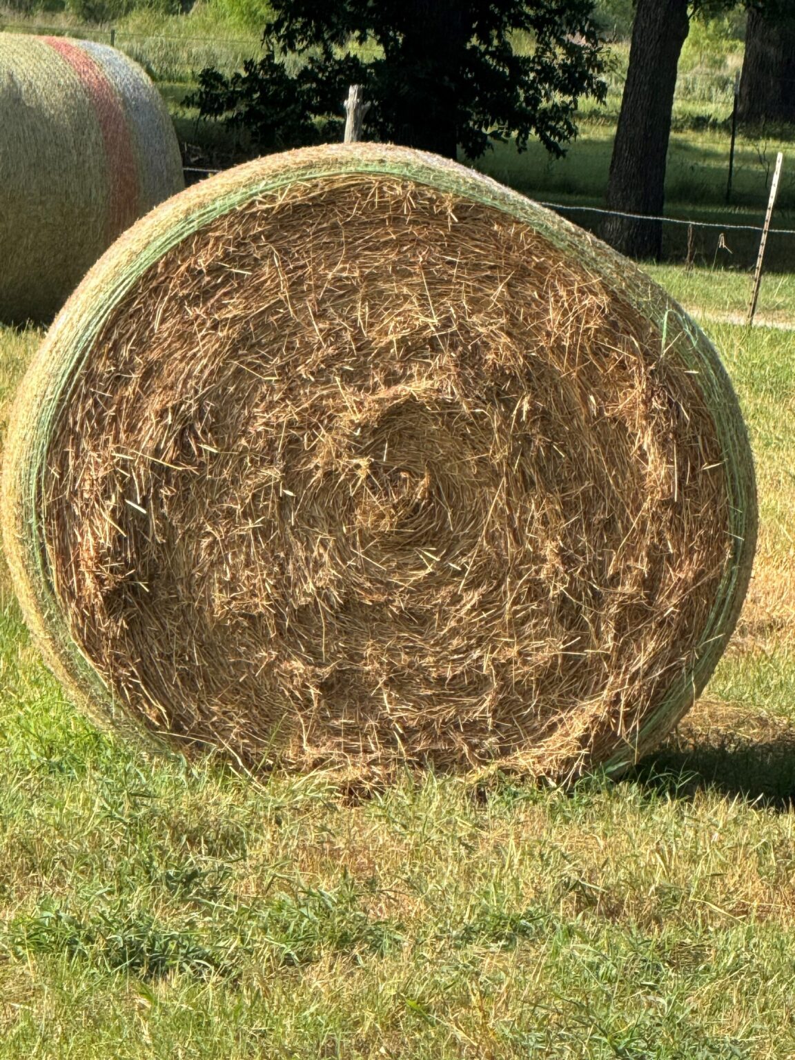 Hay For Sale in Texas - AllHay.com