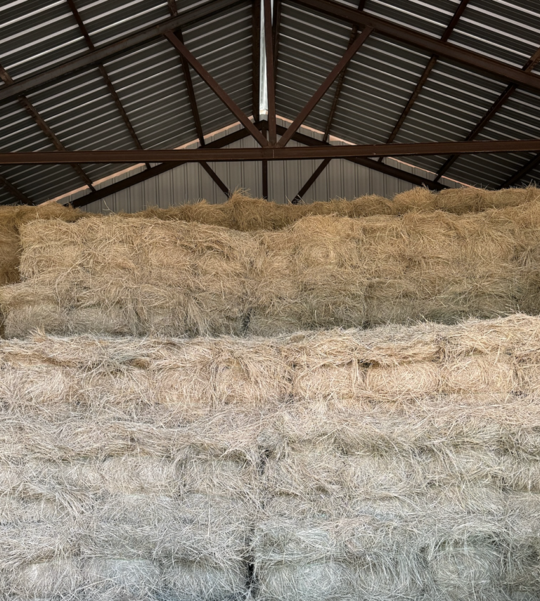Hay For Sale in Texas - AllHay.com