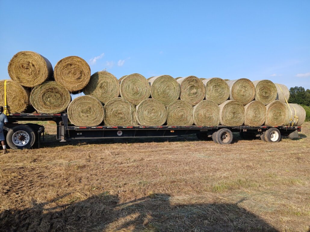 Hay Listings - AllHay.com