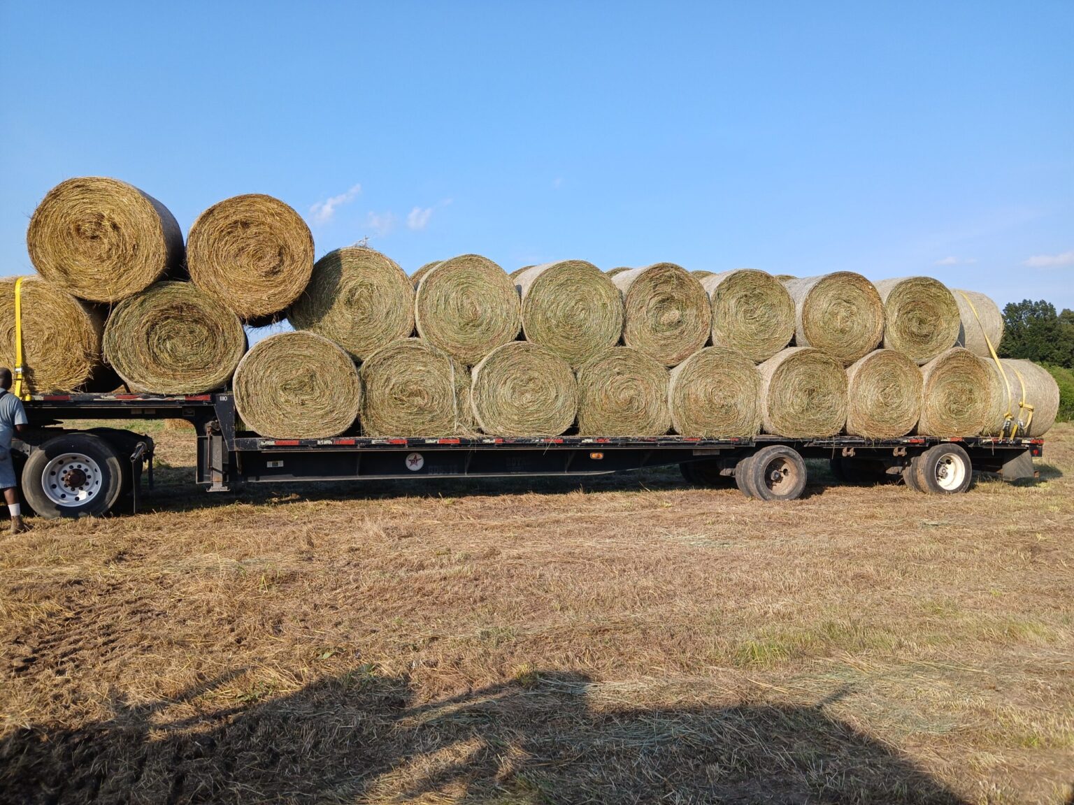 Hay Listings - AllHay.com