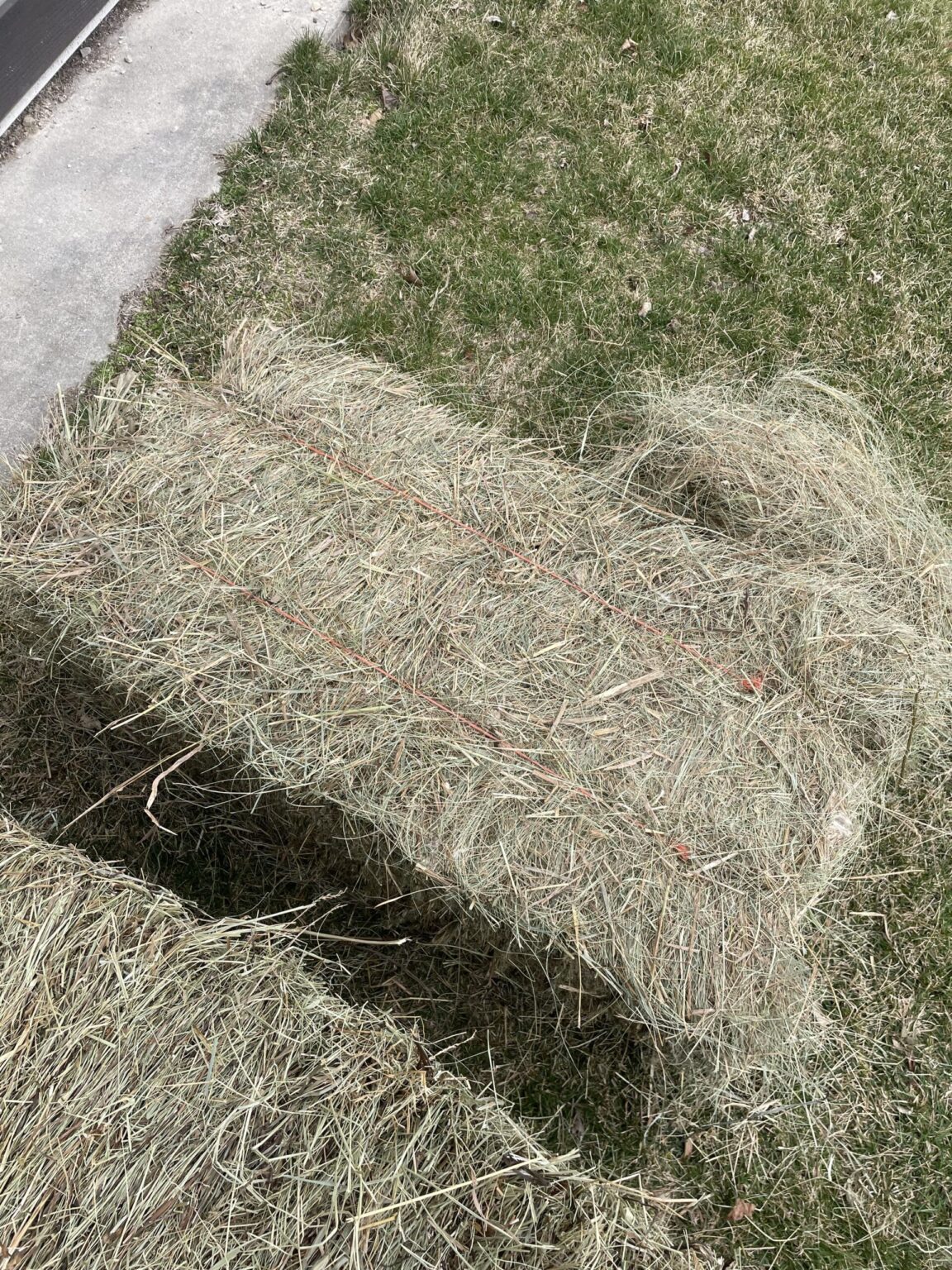 Hay Listings - AllHay.com
