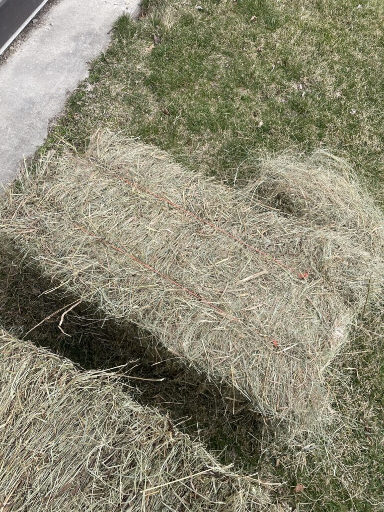 Hay Listings - AllHay.com