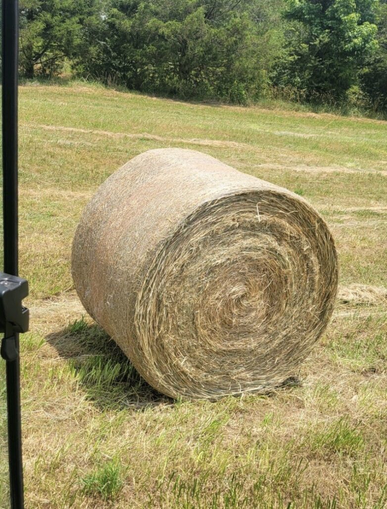 Timothy Grass Hay For Sale | Allhay.Com