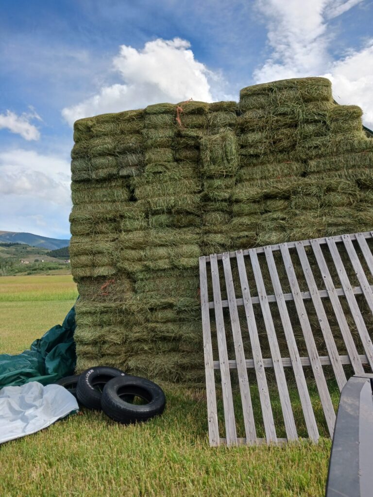 Hay Listings - AllHay.com