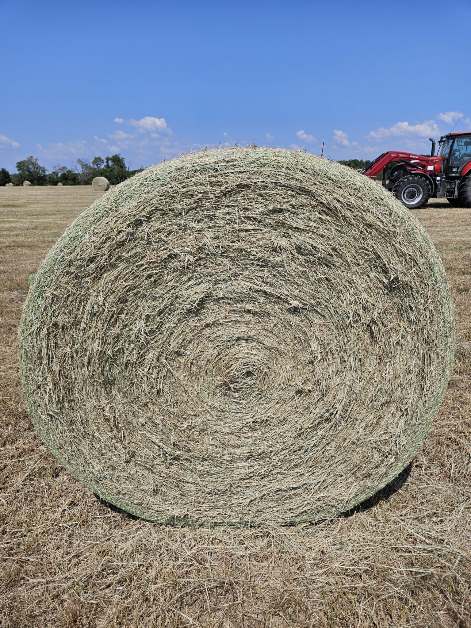 Bermuda Grass Hay For Sale | Allhay.Com