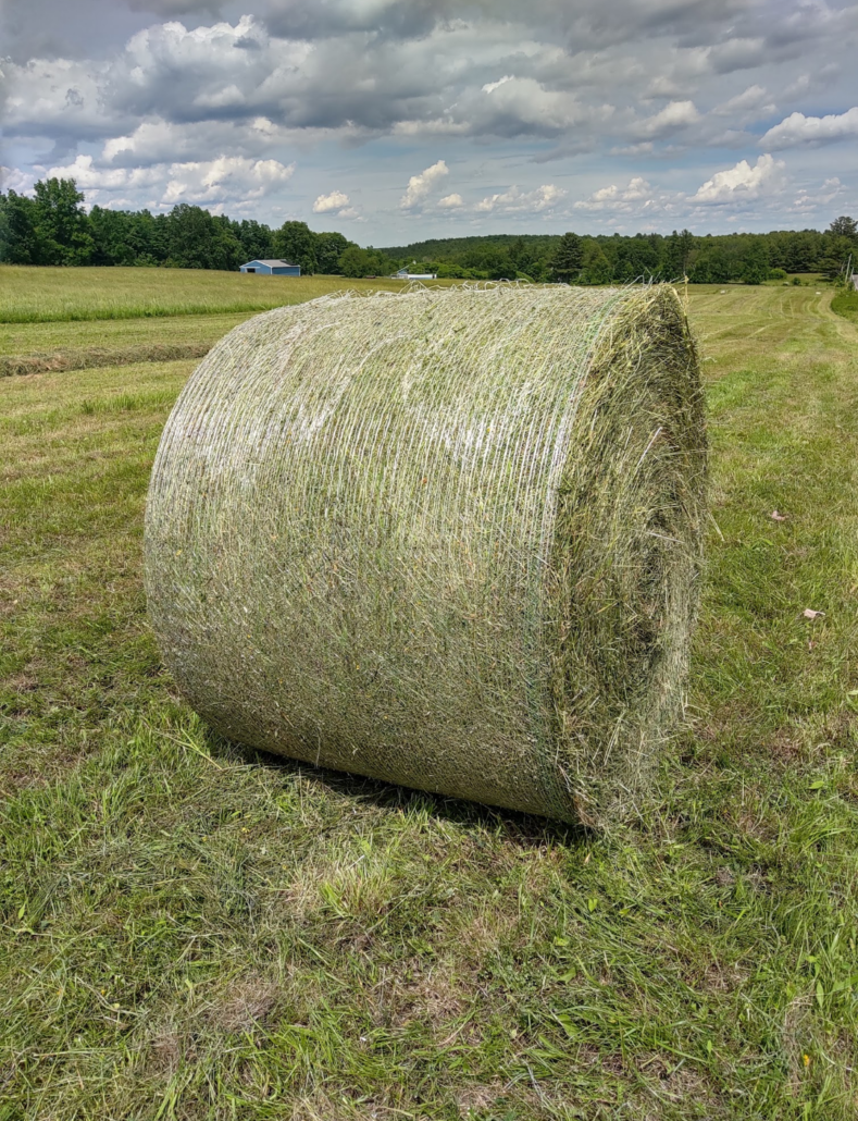 Hay For Sale in New York - AllHay.com