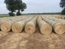Hay For Sale in Texas - AllHay.com