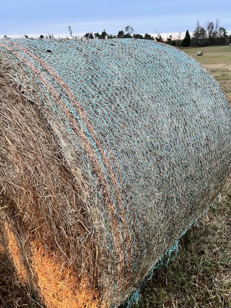 Bermuda Grass Hay For Sale | Allhay.Com