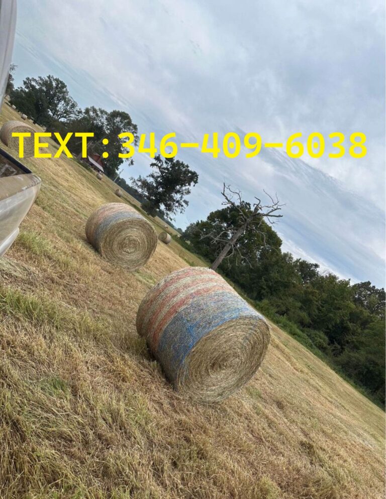 Hay For Sale in Texas - AllHay.com