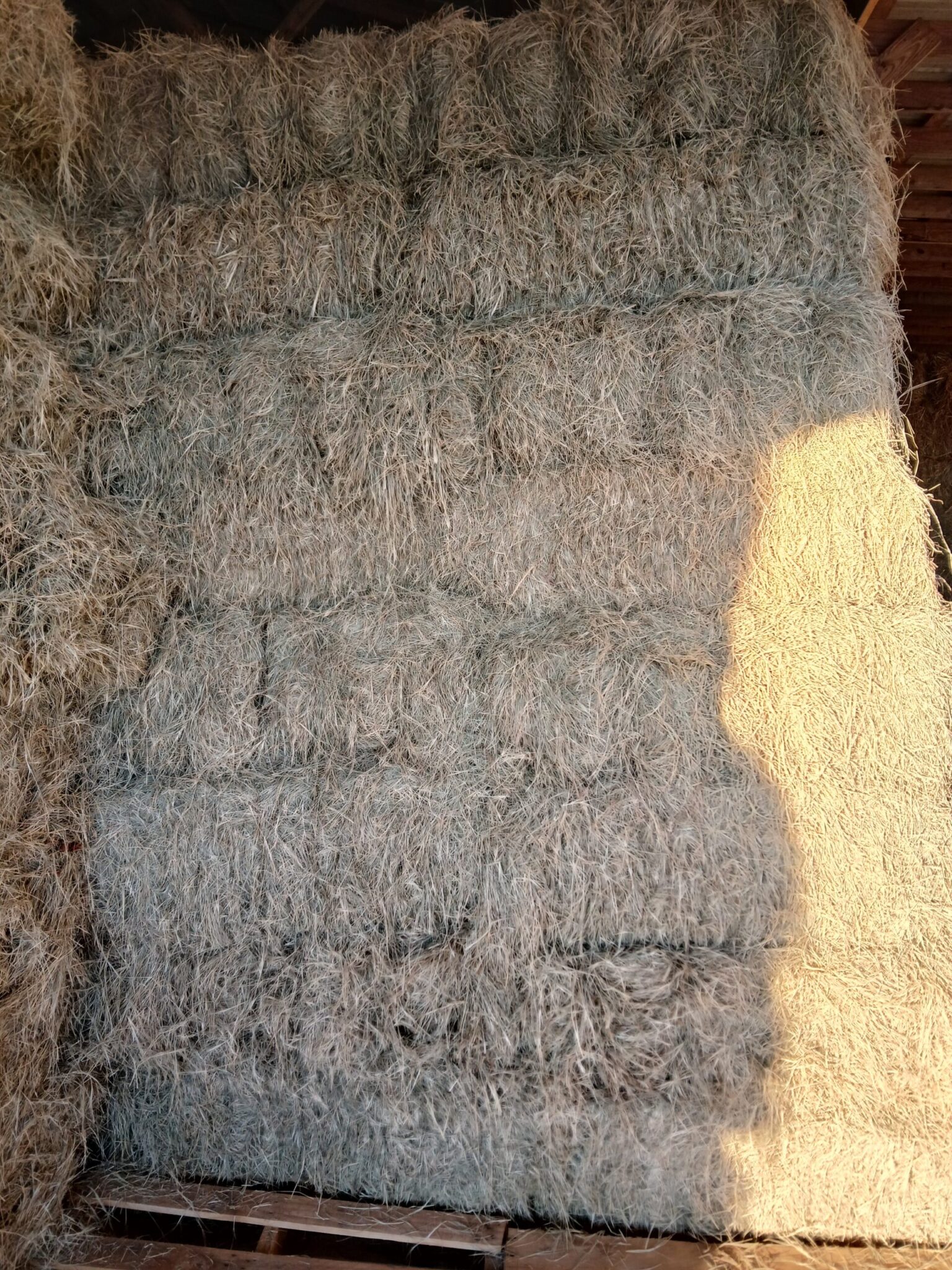 Hay Listings - AllHay.com