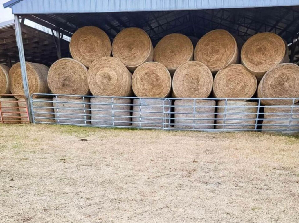 Hay Listings - AllHay.com