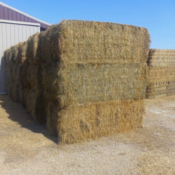 Hay Listings - AllHay.com