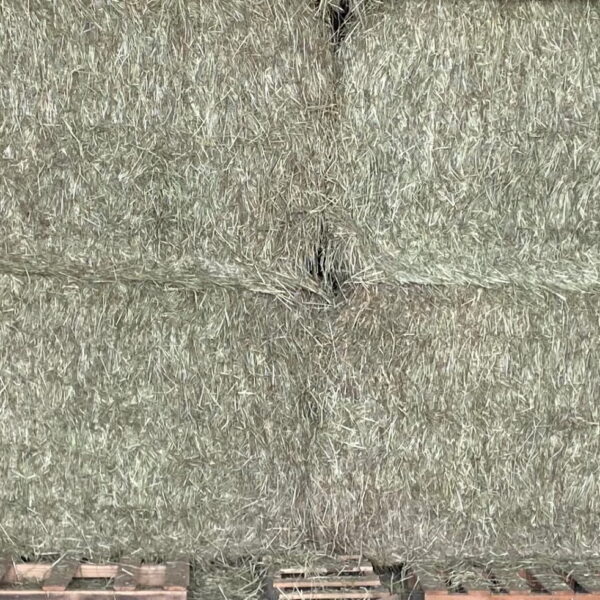 Hay Listings - AllHay.com