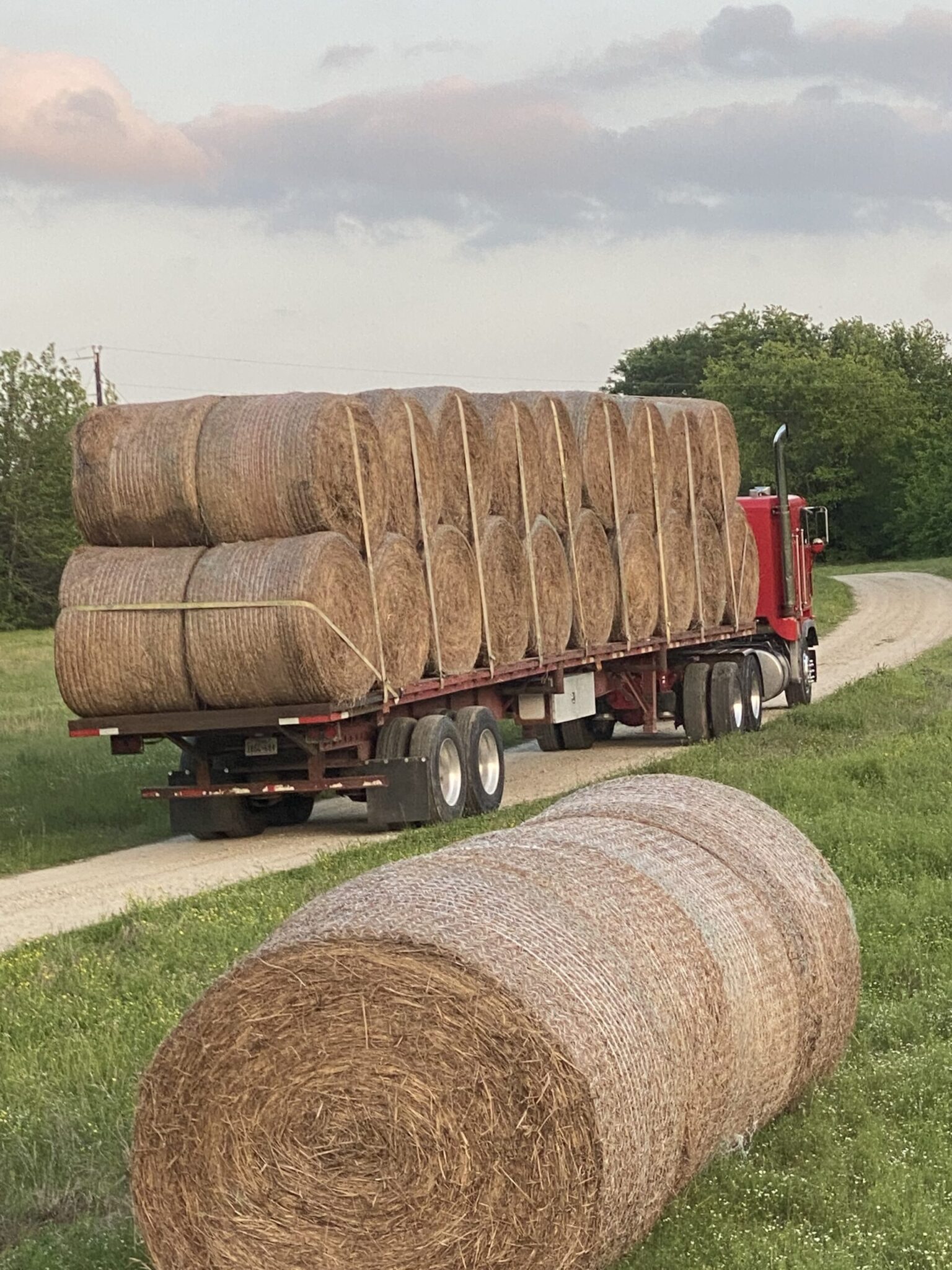 Hay For Sale in Texas - AllHay.com