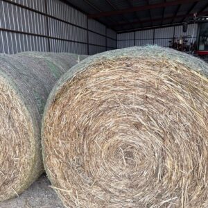 Hay For Sale in Texas - AllHay.com