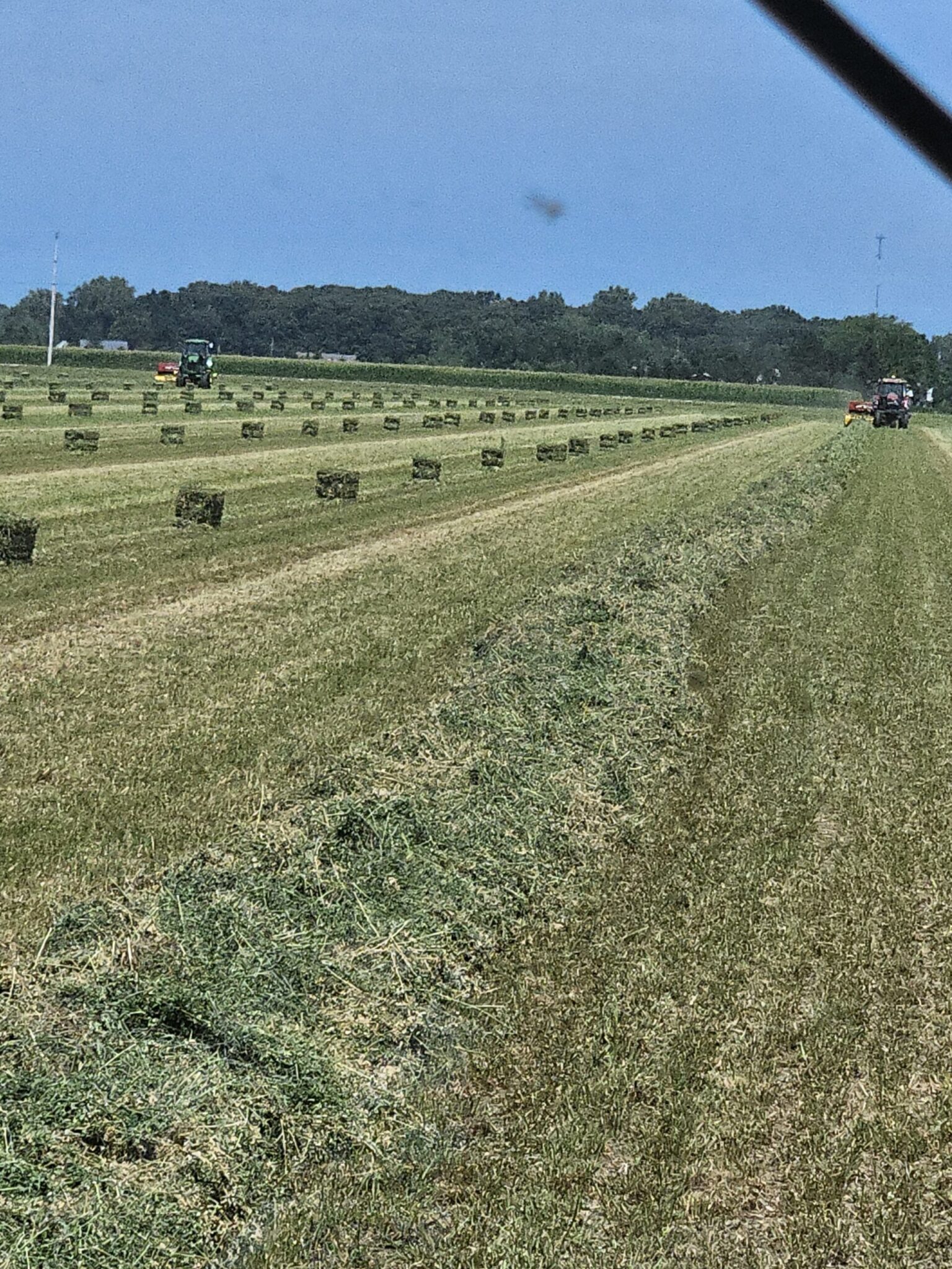 Hay For Sale in Ohio - AllHay.com