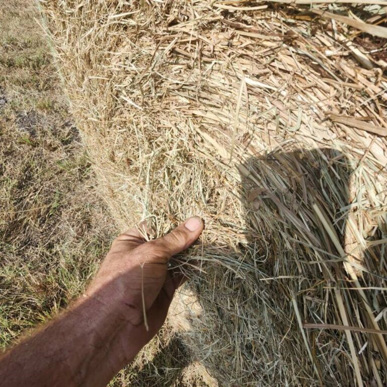 Hay Listings - AllHay.com