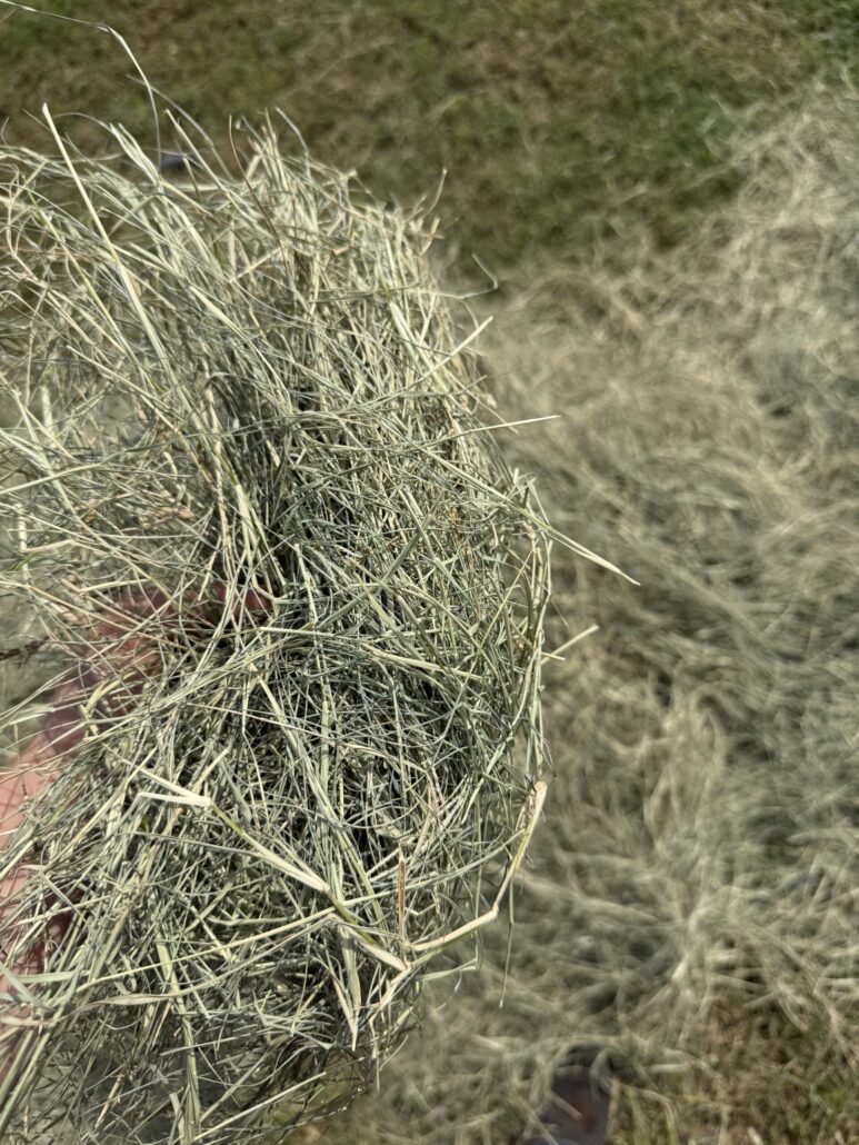 Hay For Sale in Texas - AllHay.com