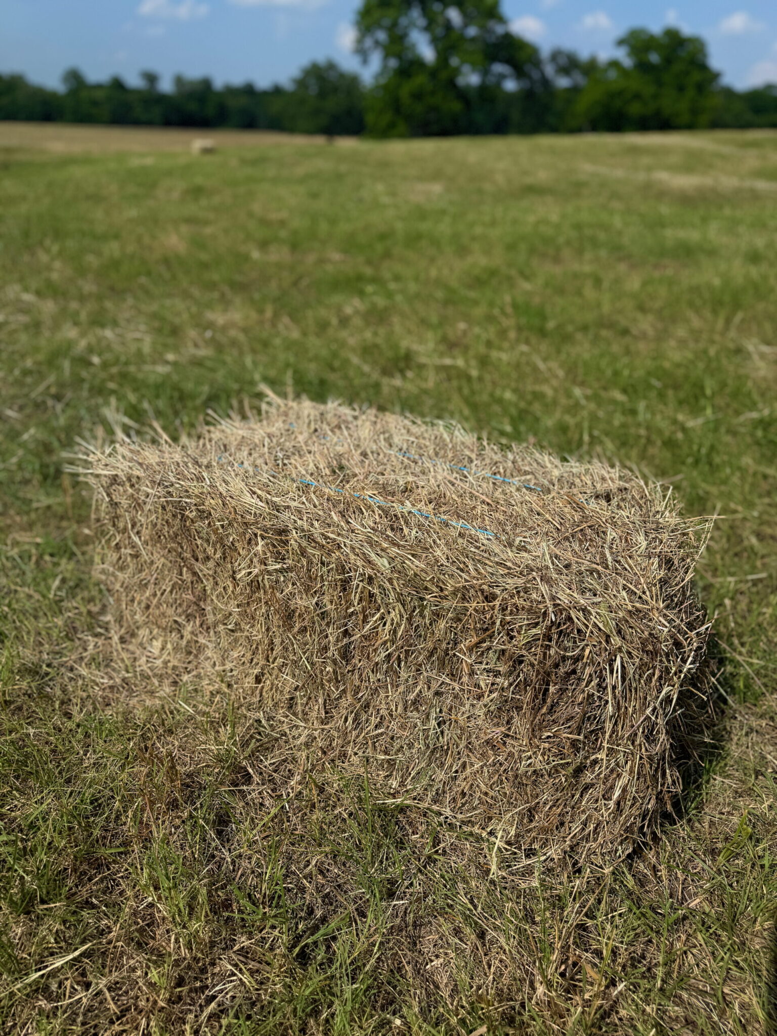 Hay Listings - AllHay.com