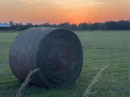 Hay for Sale | AllHay.com