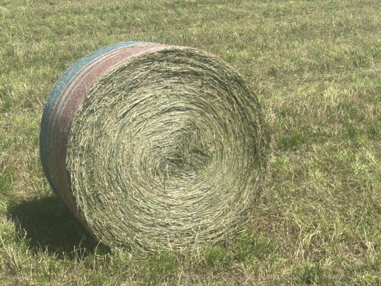 Hay For Sale in Iowa - AllHay.com