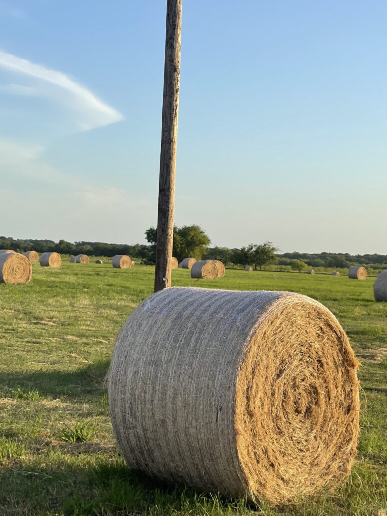 Hay For Sale in Texas - AllHay.com