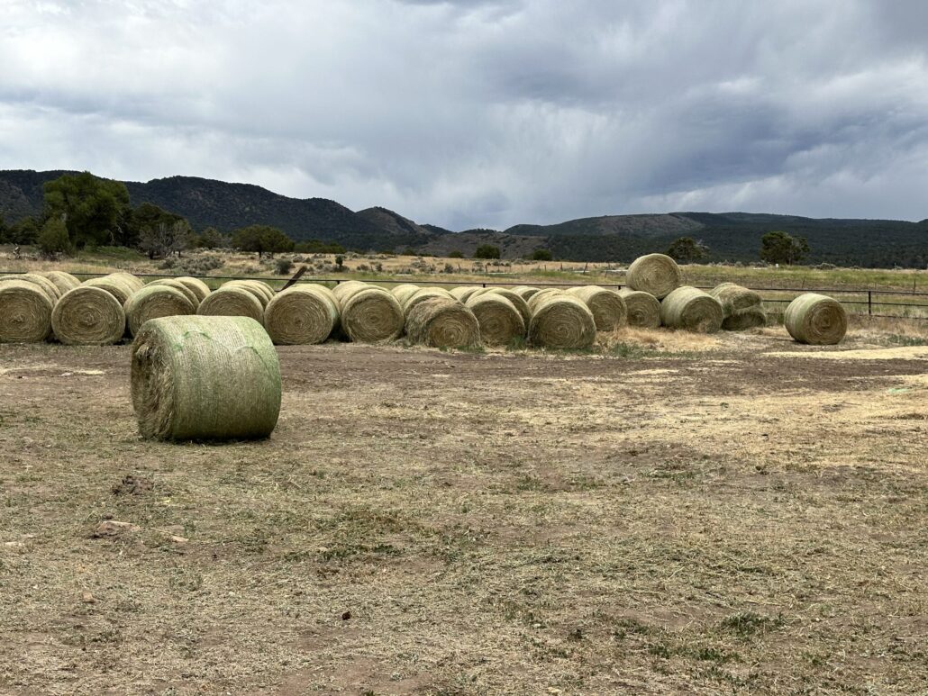Hay For Sale in Colorado - AllHay.com
