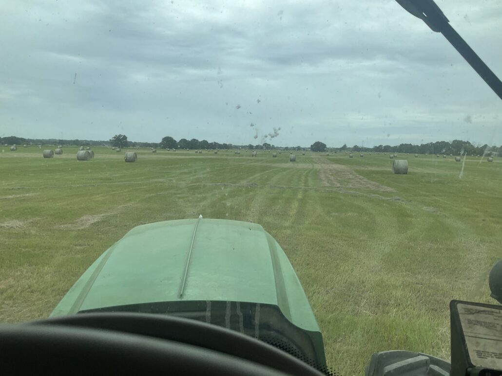 Hay For Sale in Texas - AllHay.com