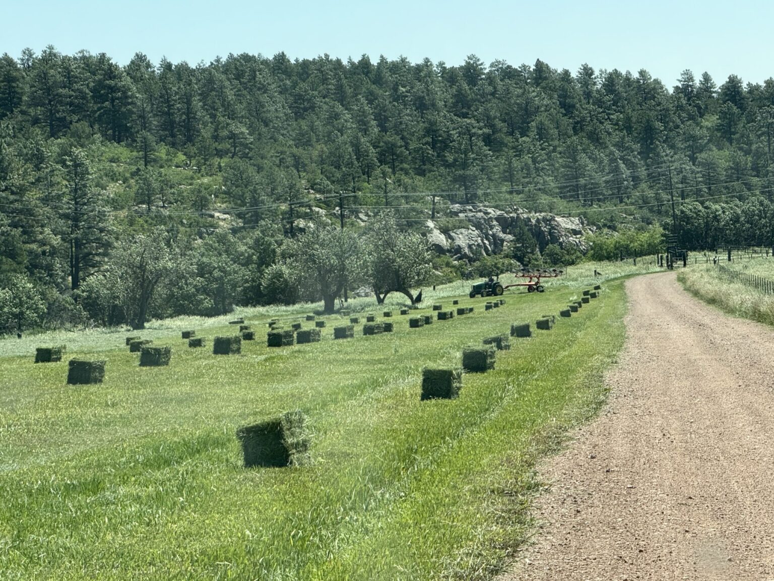 Hay For Sale in Colorado - AllHay.com